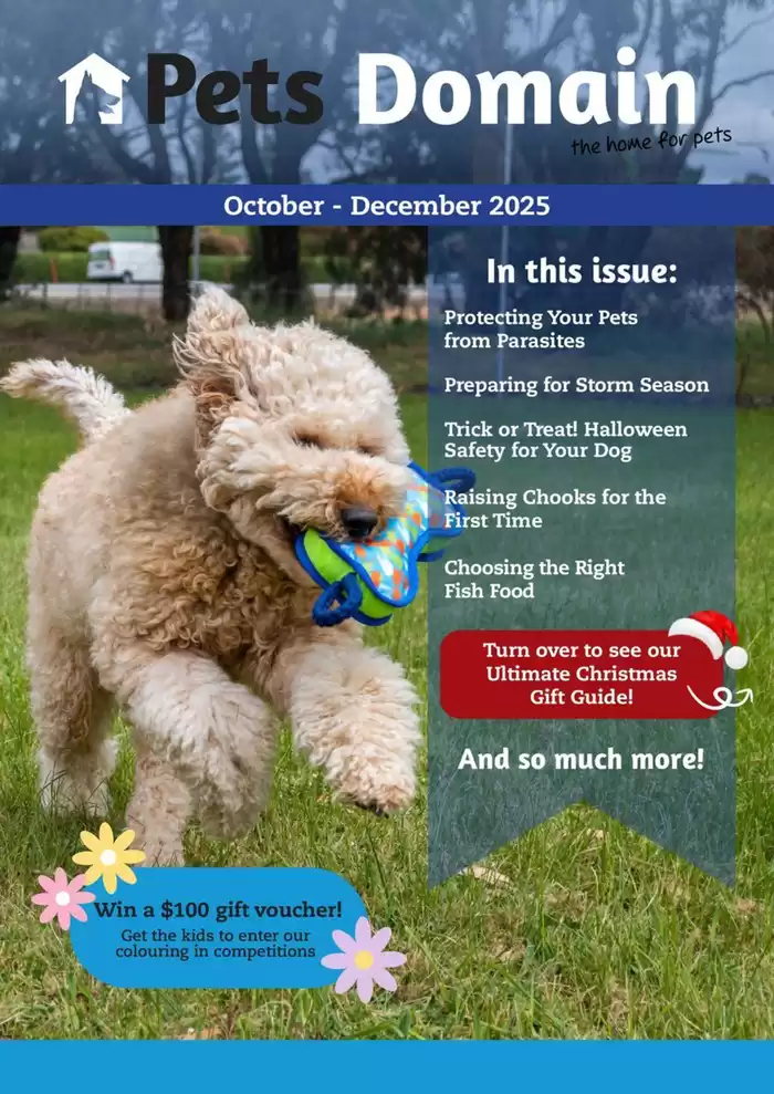 Pets Domain: October - December 2025 28.10.2025/31.12.2025 | Catalogium ...