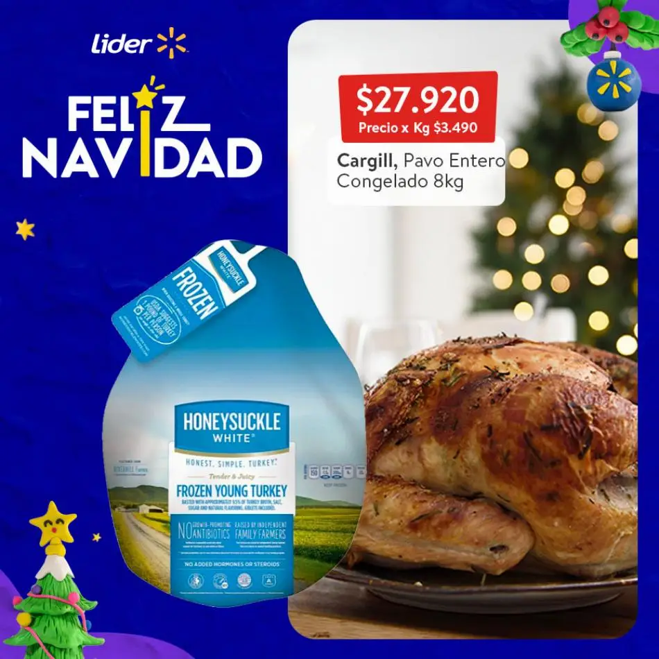 Lider Chile - Catálogo de productos, promociones y descuentos ...