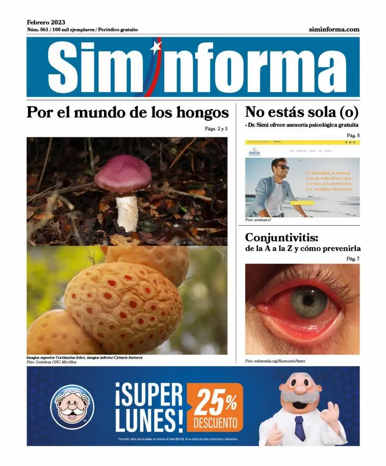 Farmacias del Dr. Simi Chile - Catálogo de productos, promociones y ...