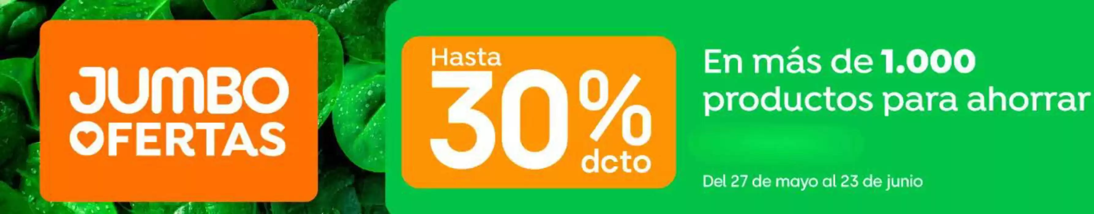 Jumbo Chile - Catálogo de productos, promociones y descuentos ...