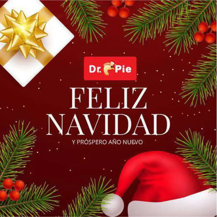 Doctor Pie: Feliz navidad 26.12.2023/02.01.2024 | Catalogium Ecuador