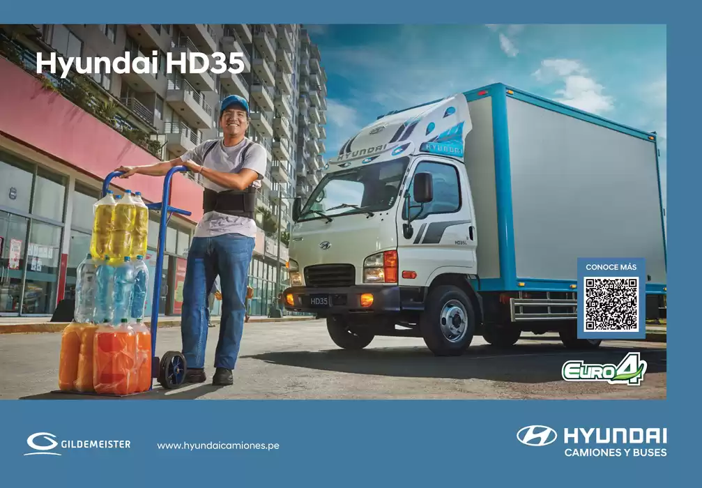 Dolce & Gabbana: Ficha técnica HD35 13.11.2024/13.11.2025 | Catalogium Perú