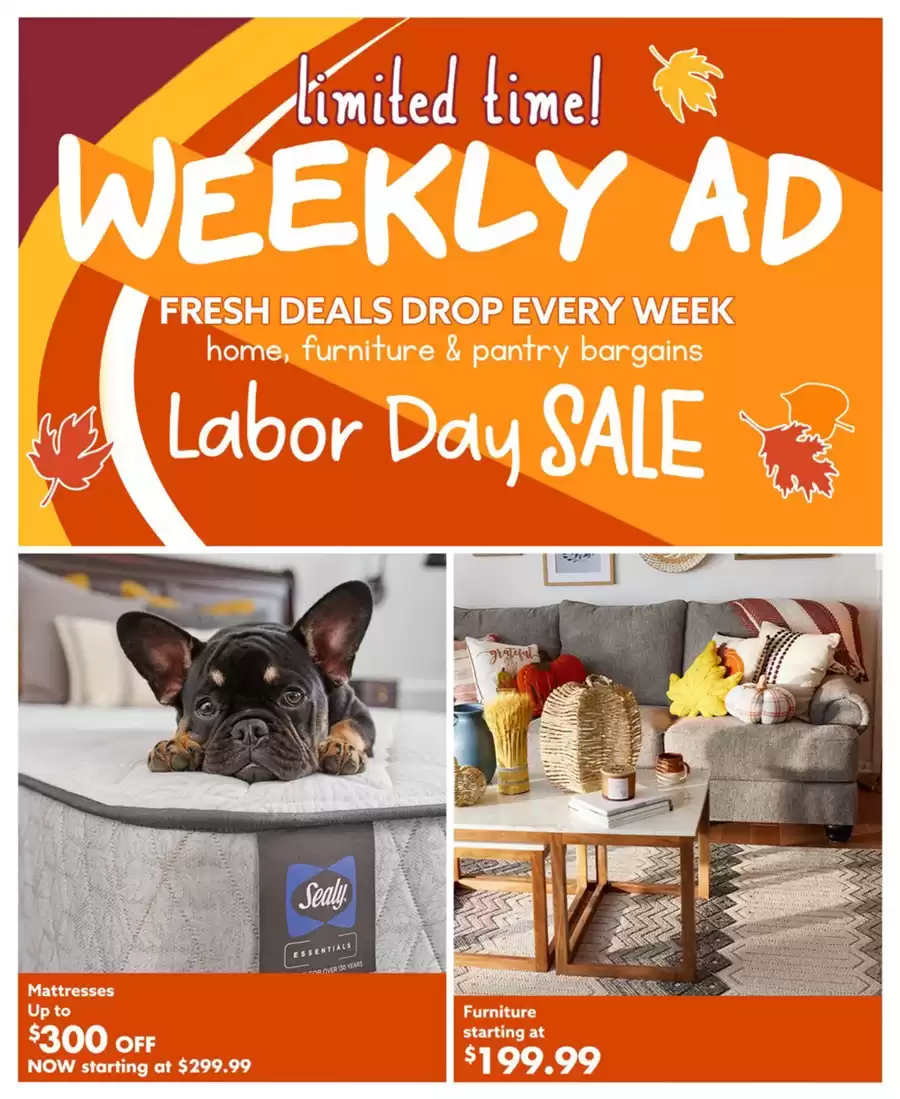 Big Lots: Weekly Add Big Lots 10.09.2024/24.09.2024 | Catalogium United ...