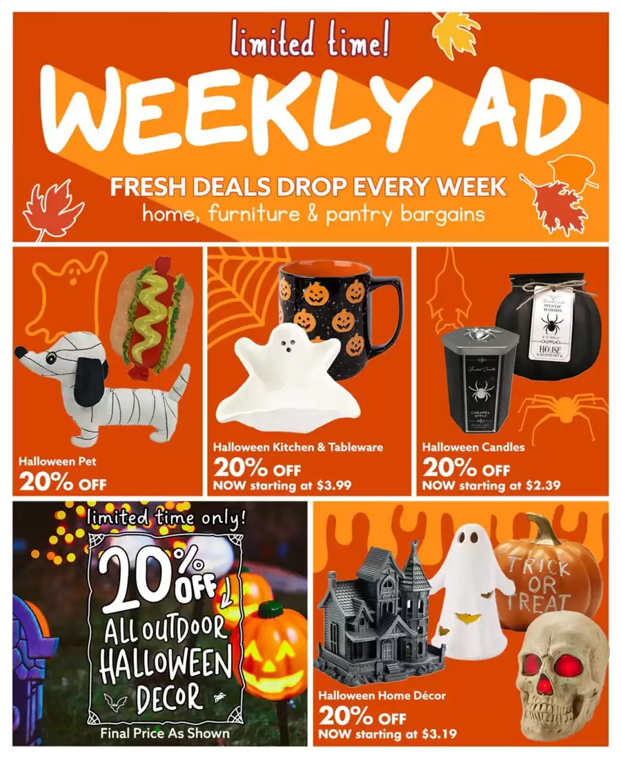 Big Lots: Weekly Add Big Lots 05.10.2024/19.10.2024 | Catalogium United ...